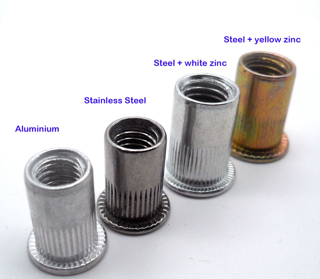 Flat Head Round Body Rivet Nut in Stock